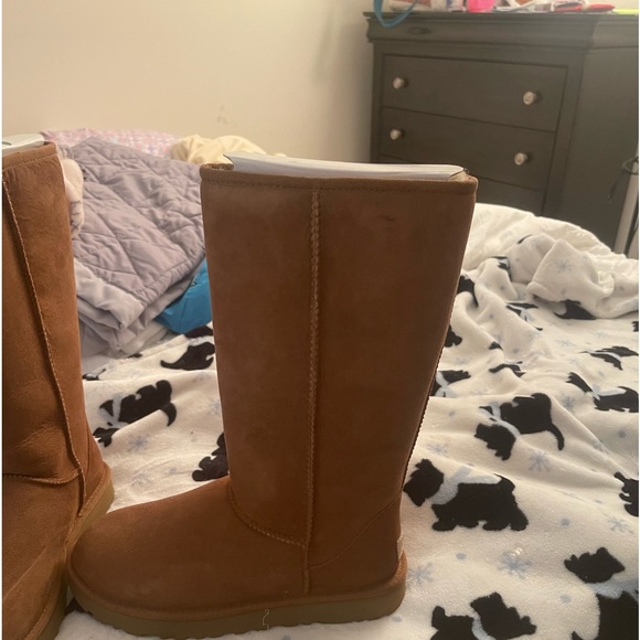 UGG | Shoes | Ugh Classic Boots Never Been Worn New In Box | Poshmark